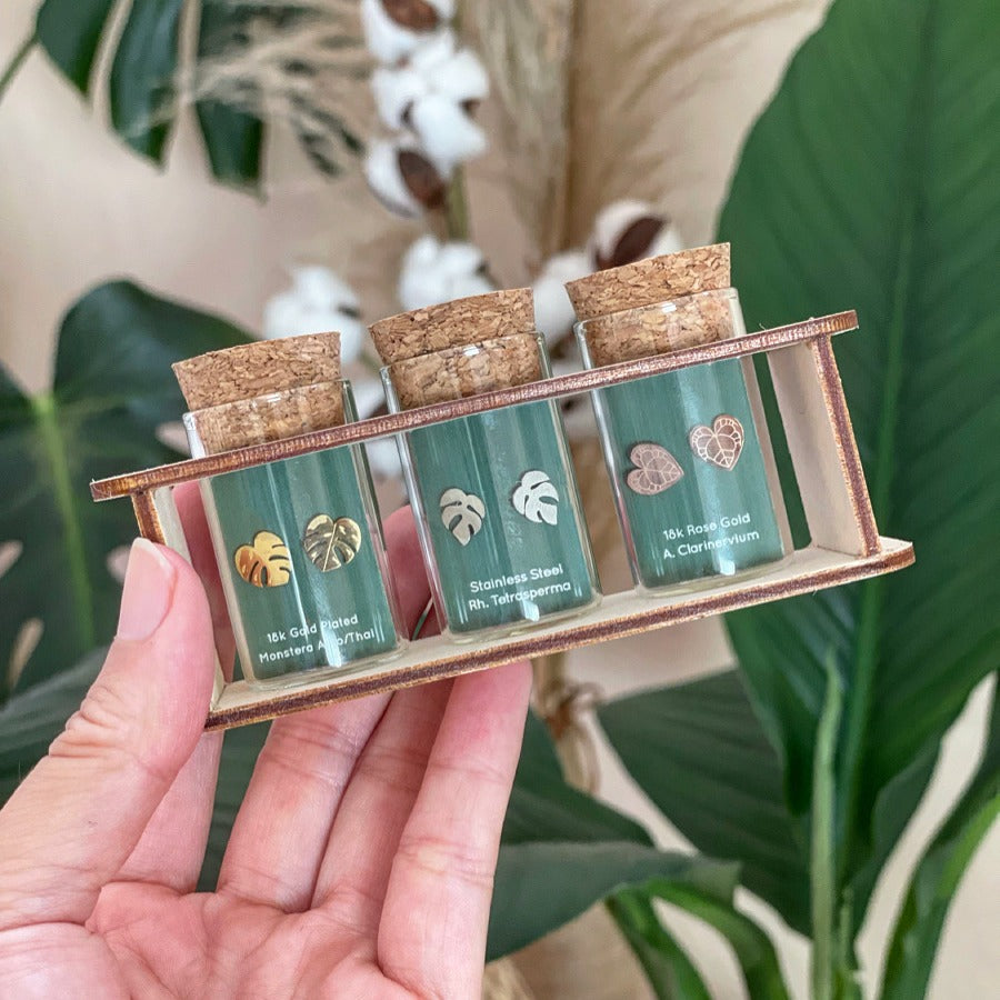 Custom Etched Propagation Stand + 3 Set Tiny Houseplant Earring Studs ...